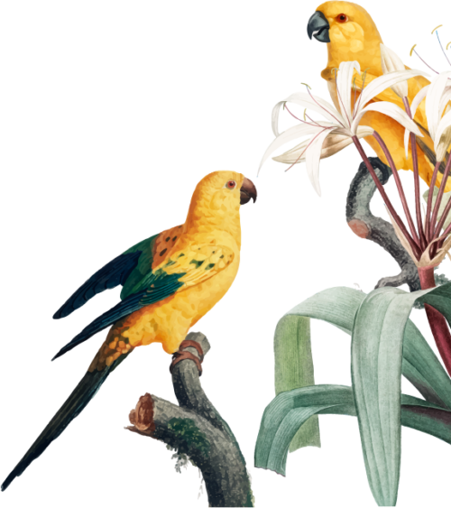 Botania - Grupo Larrumba