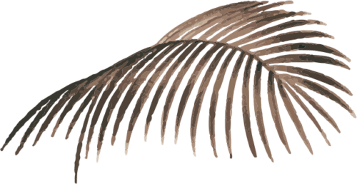 Botania - Grupo Larrumba