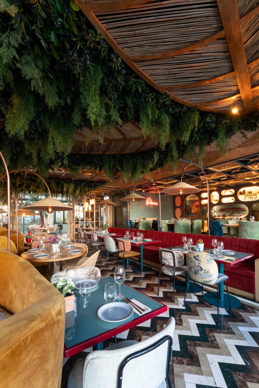 Botania - Grupo Larrumba