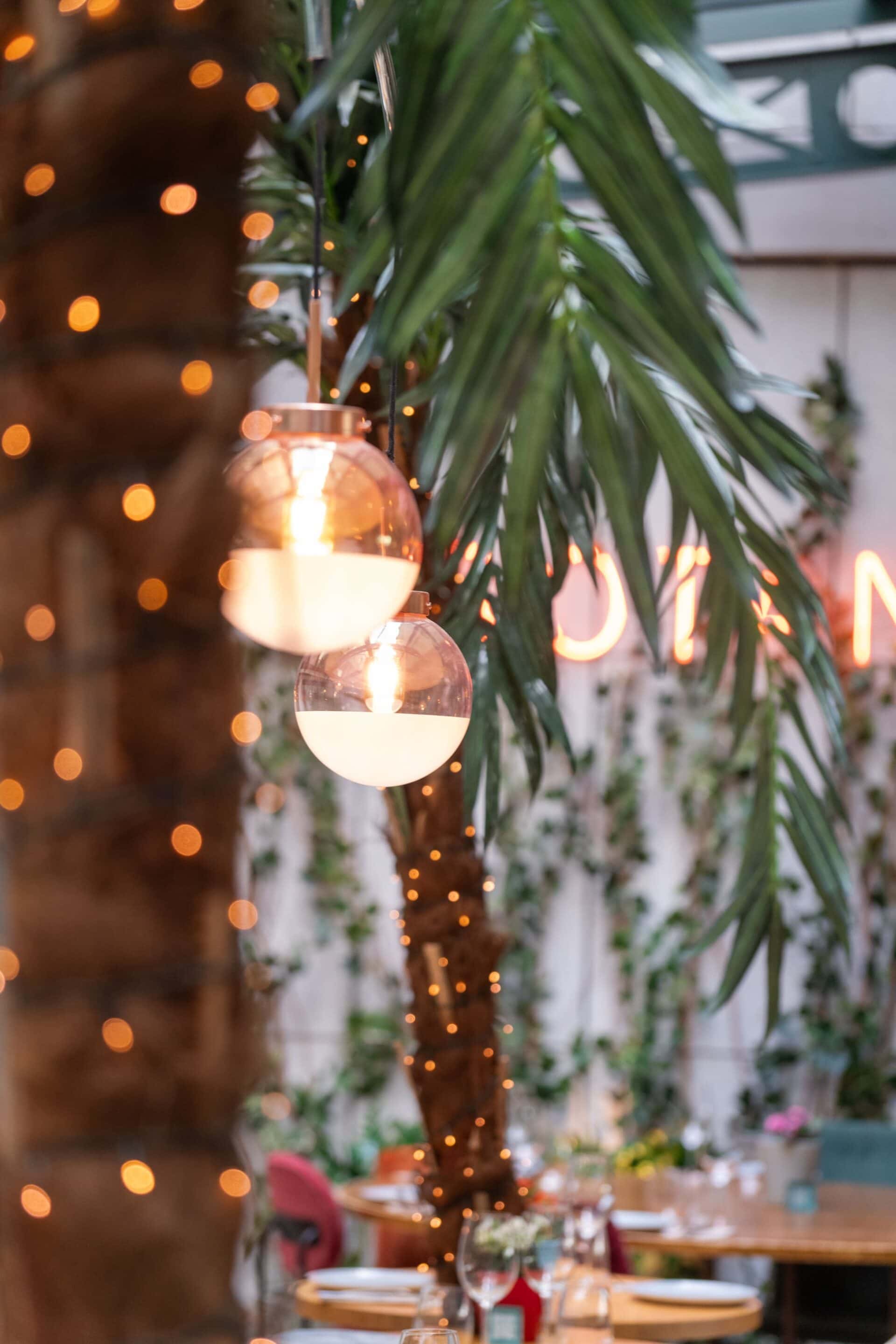 Botania - Grupo Larrumba